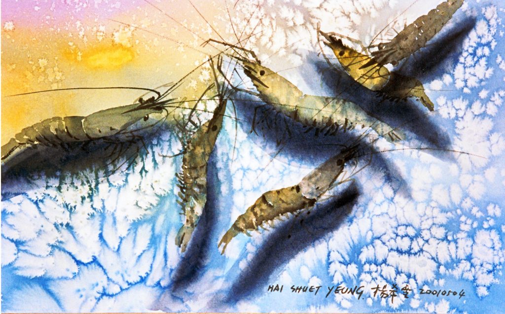 Prawn Paintings – Hai Shuet Yeung MBE 杨希雪